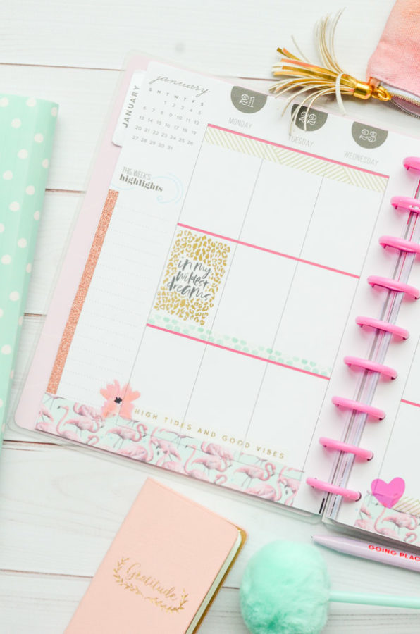 Happy Planner 2019: January Decorations (Weekly and Monthly) - The Chic ...