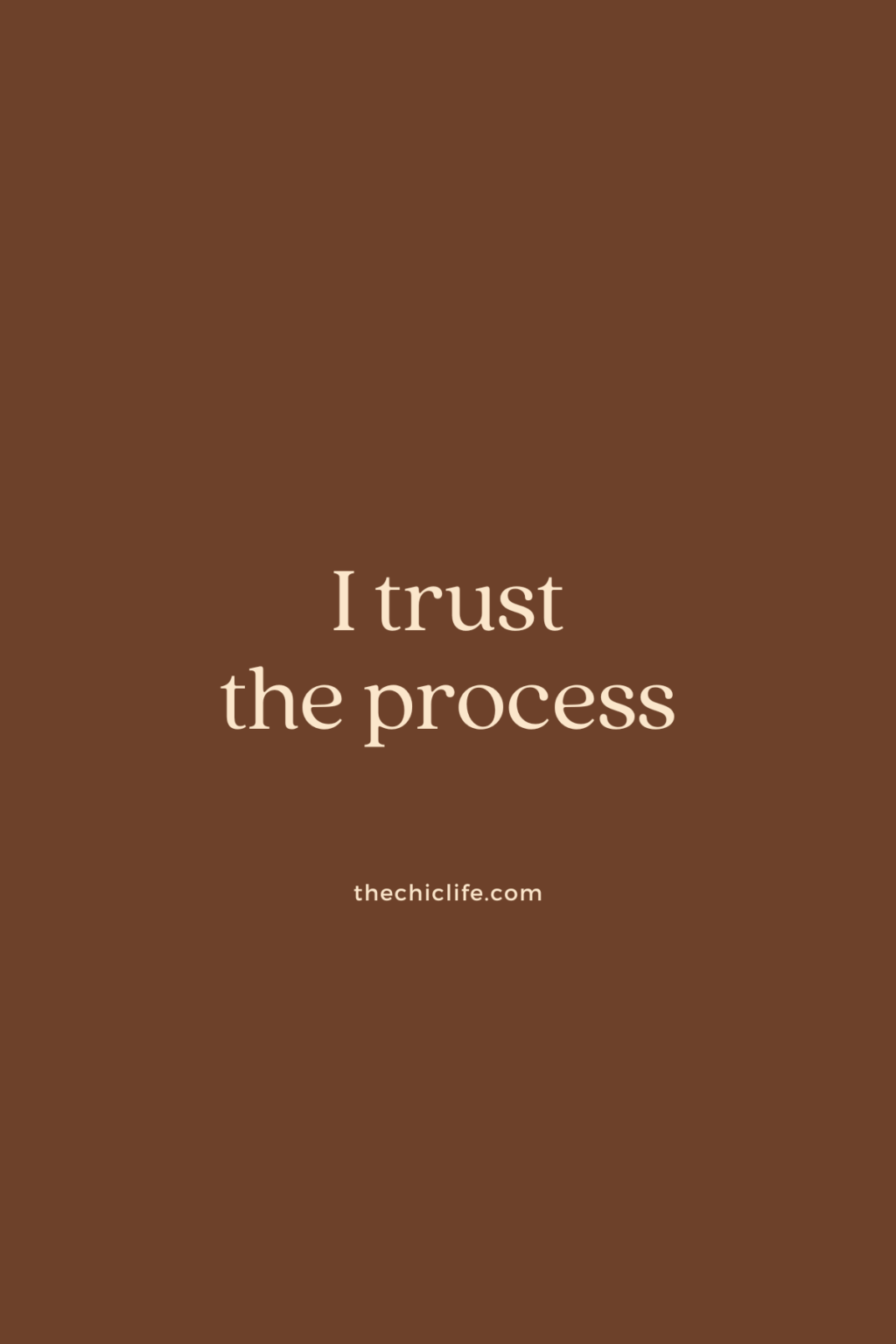 2025 Vision Board Ideas and Examples - The Chic Life