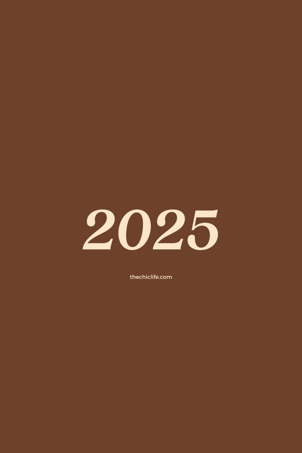 2025 Vision Board Ideas and Examples - The Chic Life